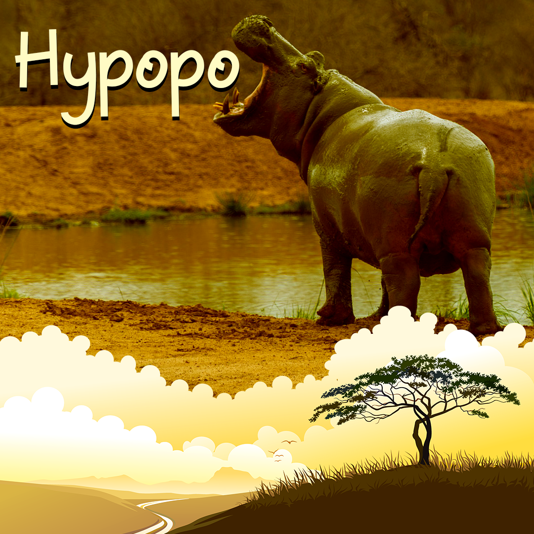 Hypopo - Edelconcept - Musique Libre de Droits